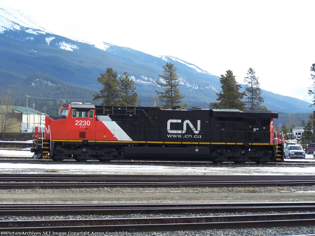 CN 2230